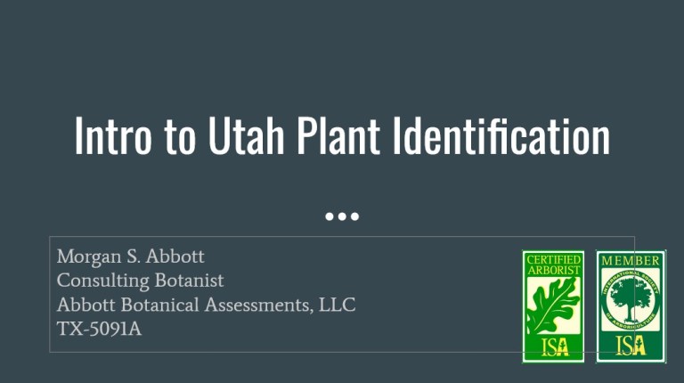From the Archives: Intro to Utah Plant Identification – Abbott ...
